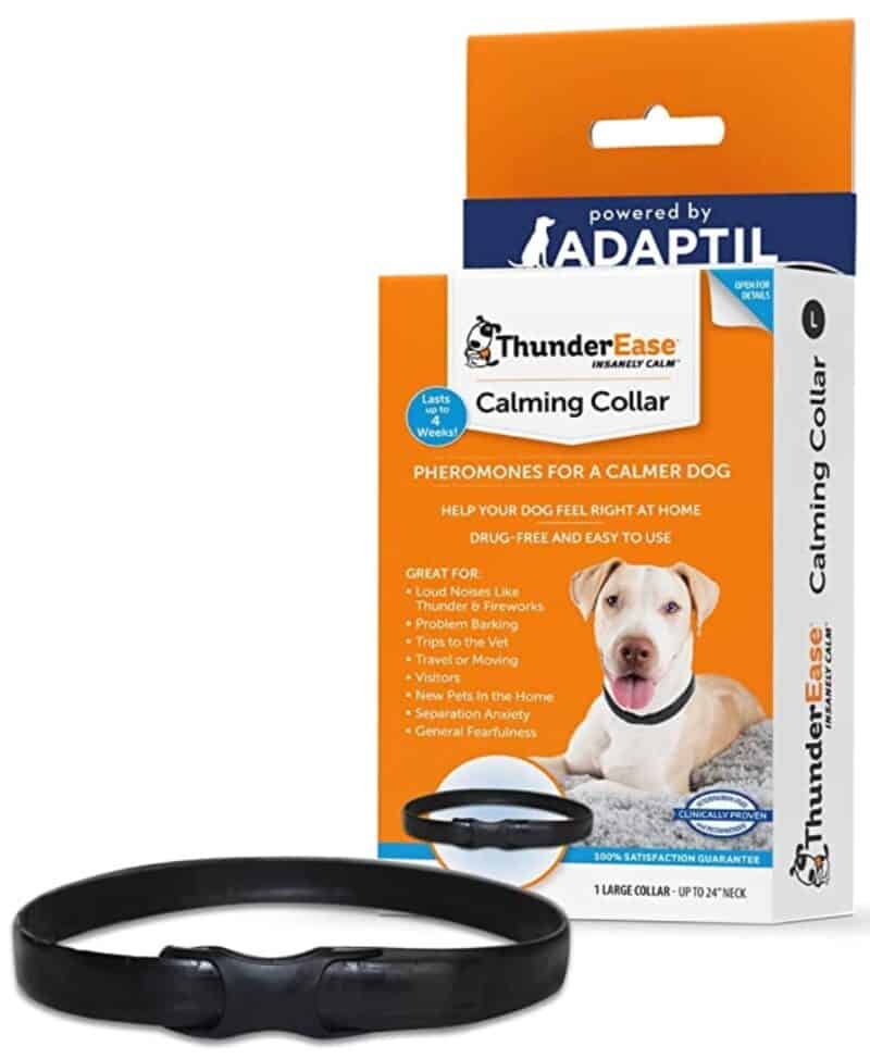 Best Calming Collars for Dogs - Dogtelligent